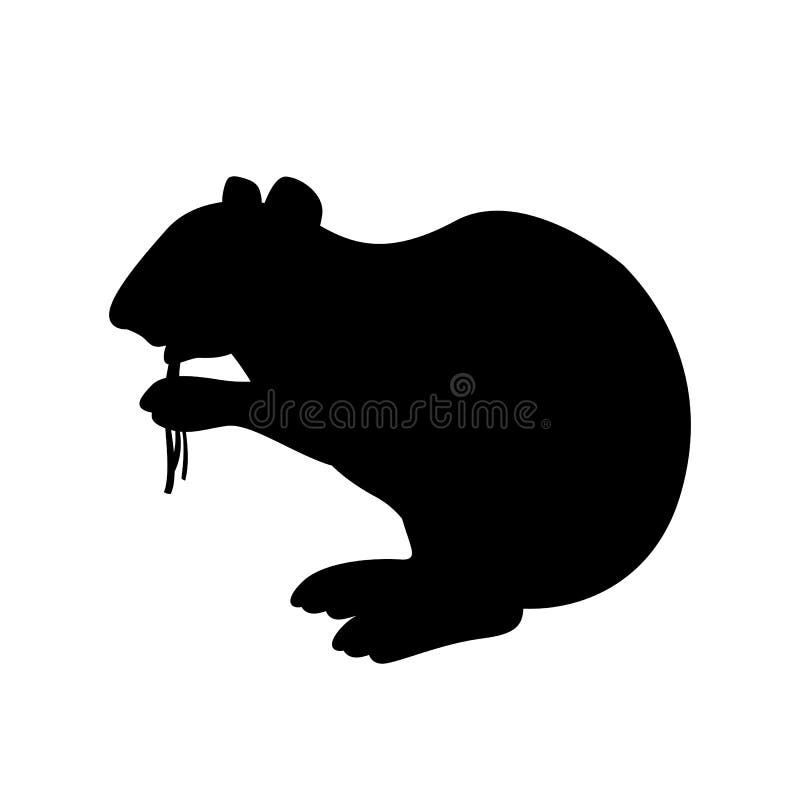 Agouti Vector Icon.Cartoon Vector Icon Isolated on White Background ...