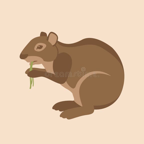 Agouti Vector Illustration Style Flat Stock Vector - Illustration of ...