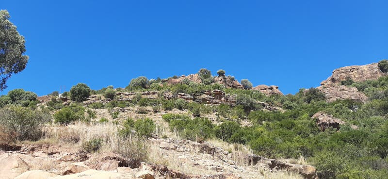 Agreeable nature in Africa stock photo. Image of africa - 220502646