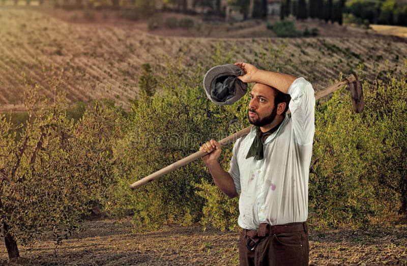 Agricultor Cansado E Suado Com Uma Enxada No Ombro Imagem de Stock ...