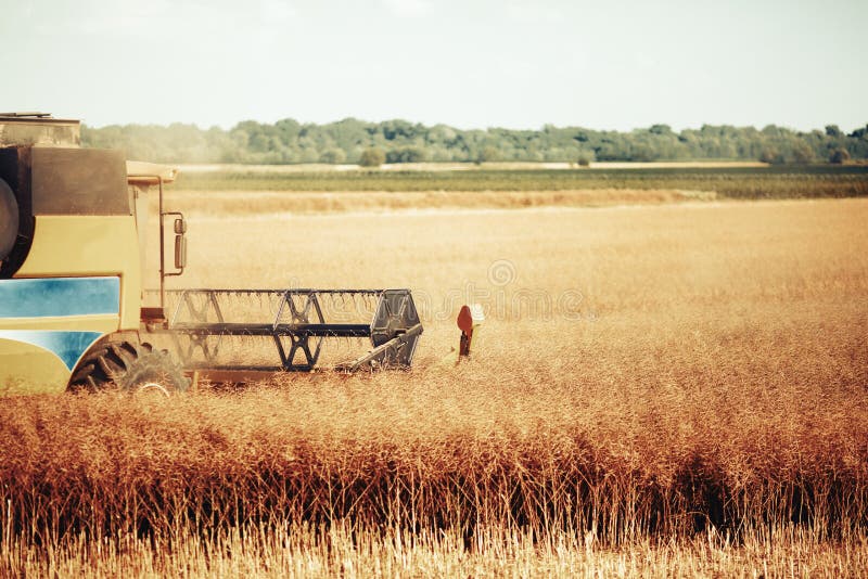 Agricultura Machine Working in Fields Stock Photo - Image of harvest ...