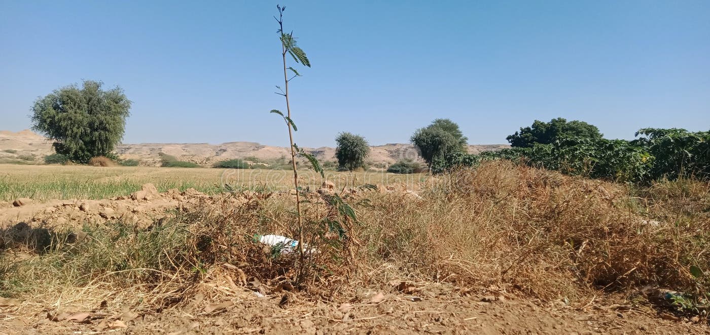 60,305 Land Structure Stock Photos - Free & Royalty-Free Stock Photos ...