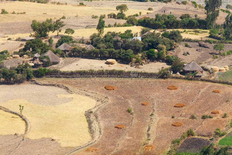 Agricultural Area in Ethiopia Stock Photo - Image of panoramic, africa ...
