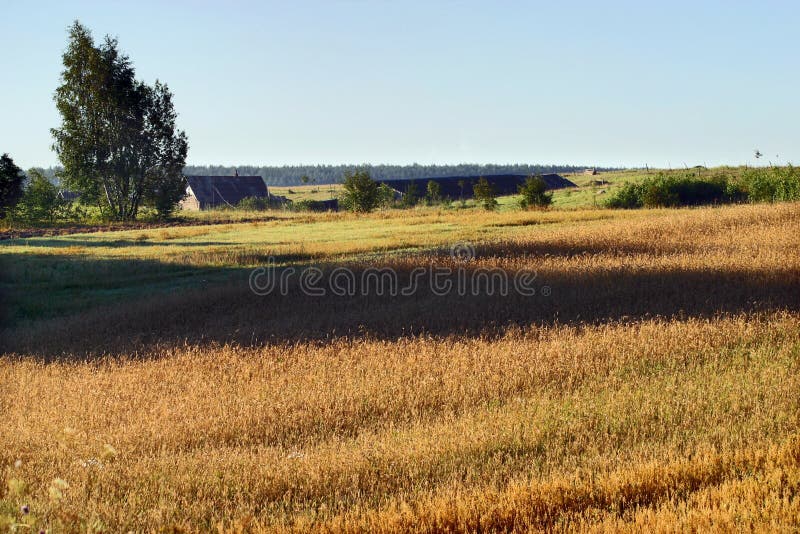 Agricultural Autumn Field Picture. Image: 1259913
