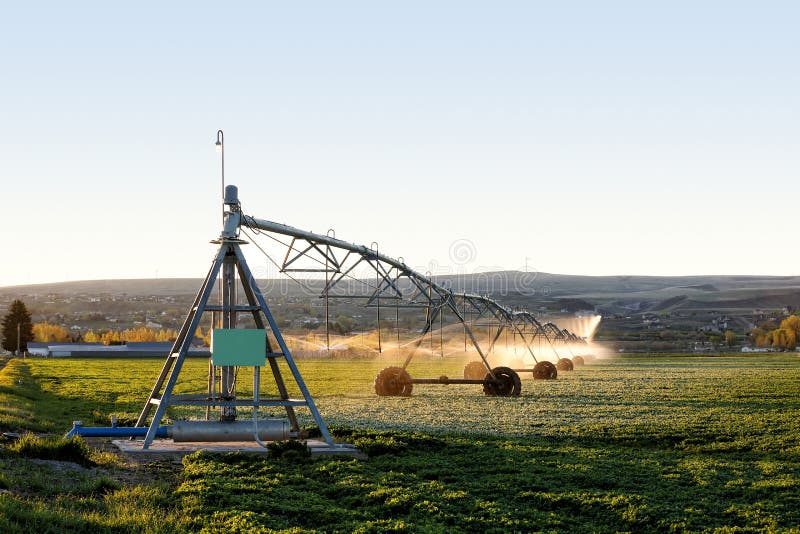 935 Early Morning Hay Field Stock Photos - Free & Royalty-Free Stock ...