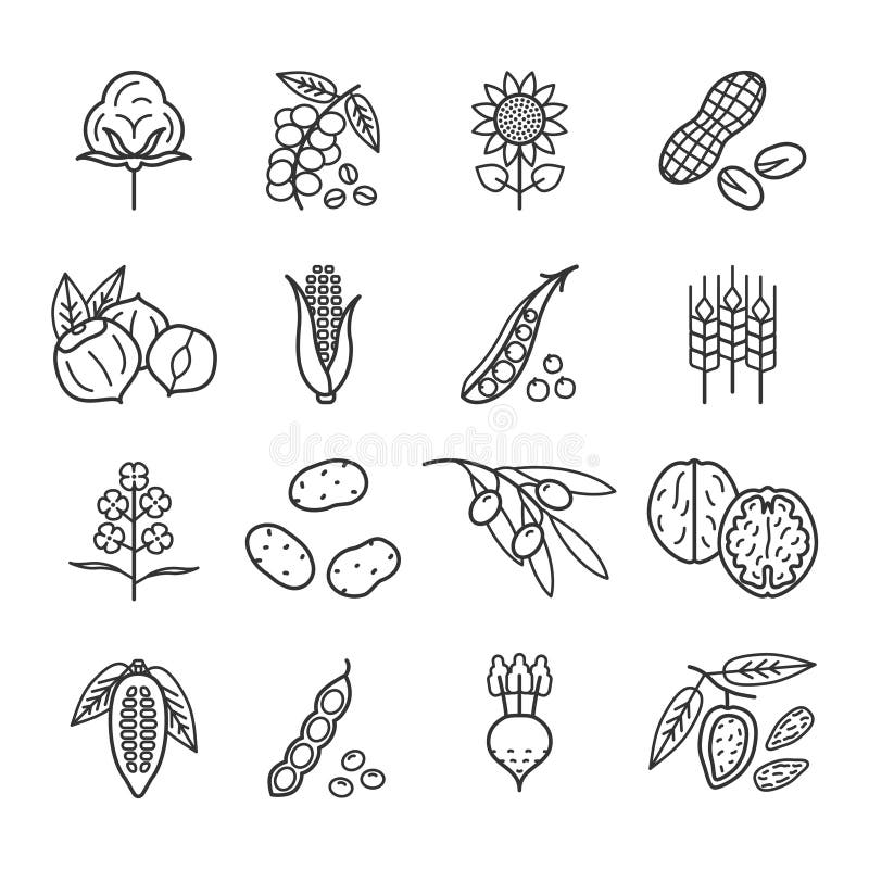 Agricultural Commodities of the Plant Origin Icons Set in Flat Style ...