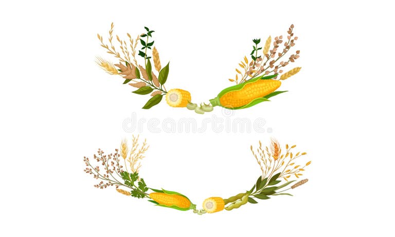 Different Spikelet Stock Illustrations – 132 Different Spikelet Stock ...