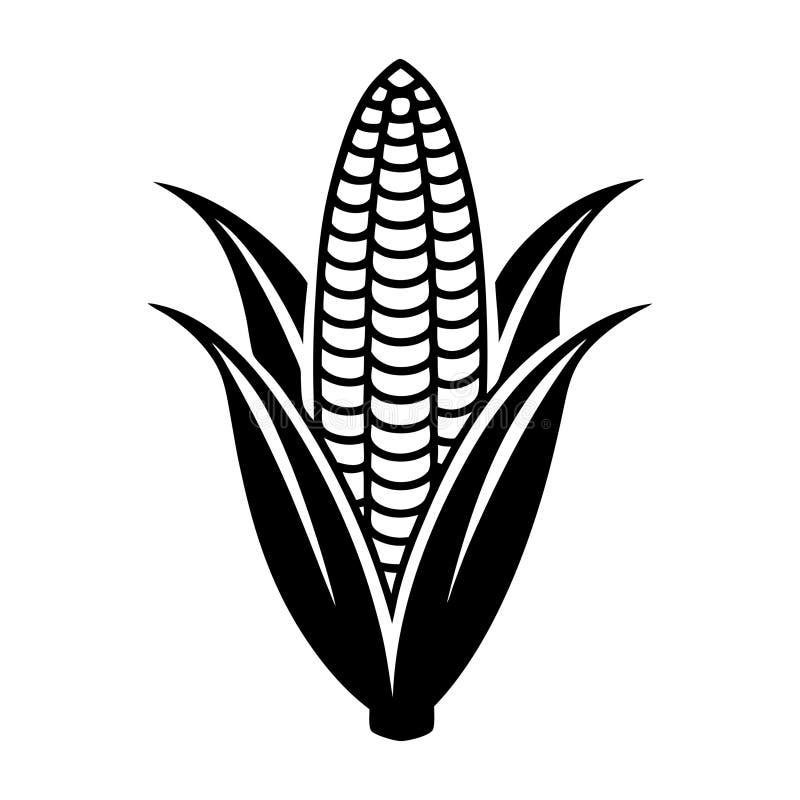 Agricultural Corn Vector and Corn Vector Silhouette Illustration Stock ...