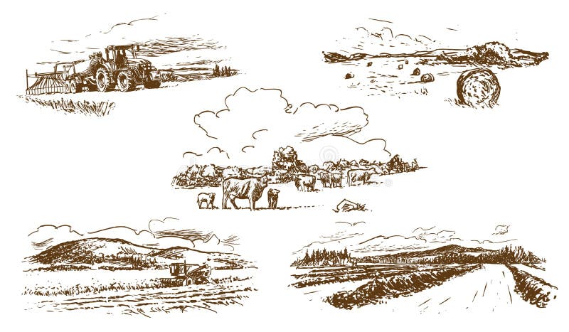 Agricultural Countryside Landscape, Set of Hand-drawn Illustrations ...