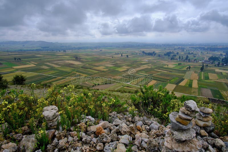 Agricultural crops stock image. Image of outdoors, houses - 247154005