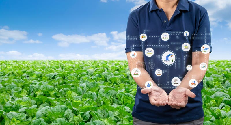 Agricultural Engineer or Farmer with Graphic Display in Farm Stock ...