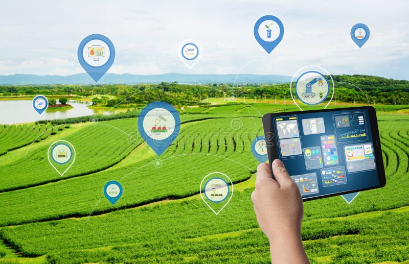 Agricultural Engineer or Farmer Work with Tablet in Farm Stock Photo ...