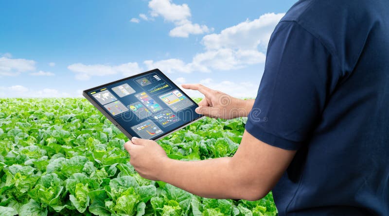 Agricultural Engineer or Farmer Work with Tablet in Farm Stock Image ...