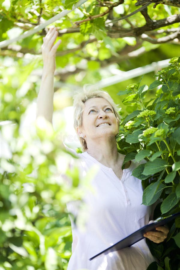 Agricultural Engineer Woman Stock Photo - Image of nature ...