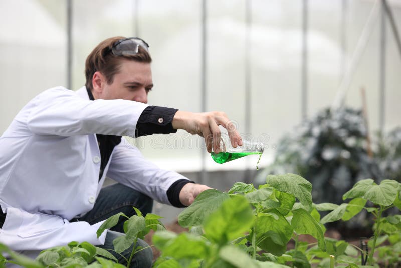 Agricultural Engineers Test Plants Health and Analyze Data with Tablet ...