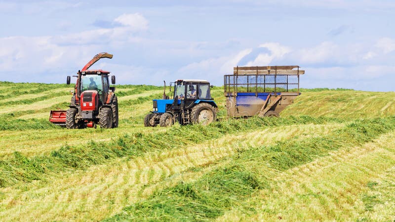 Agricultural Equipment for Harvesting Hay Stock Image - Image of ...