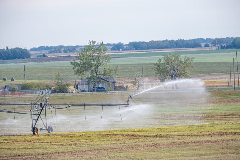 Agricultural Farm Being Irrigated with Water Spray Stock Photo - Image ...