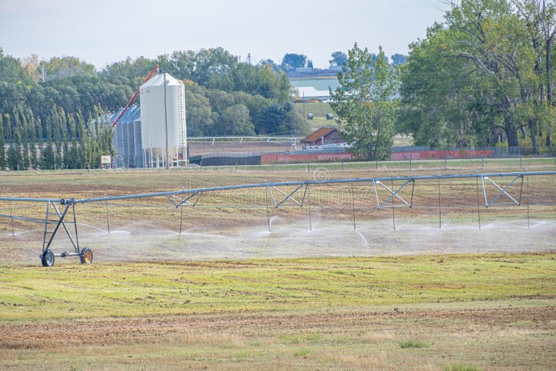 Agricultural Farm Being Irrigated with Water Spray Stock Image - Image ...