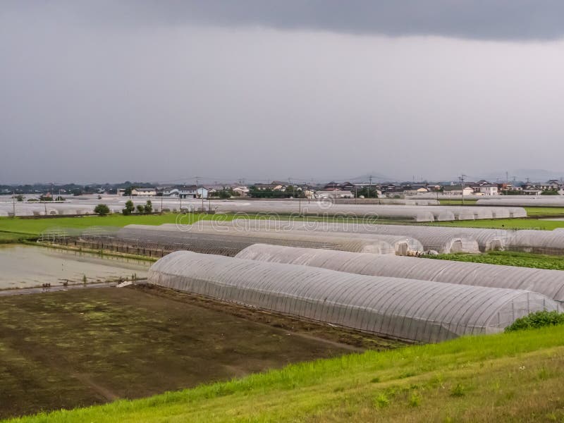 Agricultural Farm Land System in Japan. Stock Photo - Image of ...