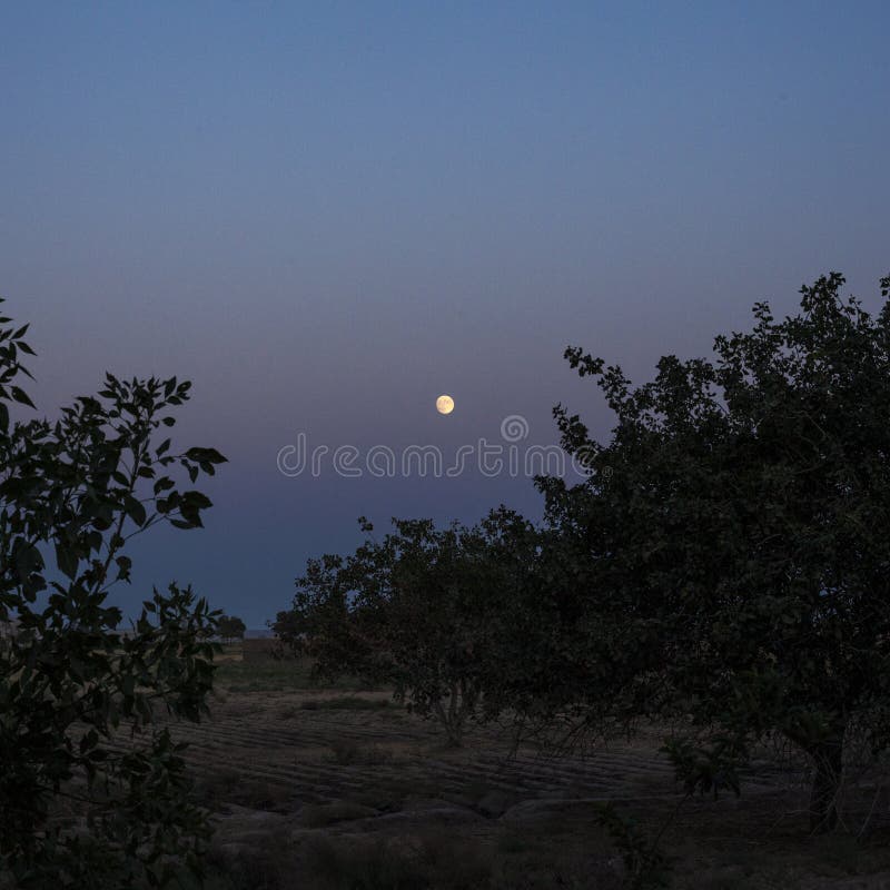 Agricultural Farm Surrounded by Trees Captured on a Night with a Full ...