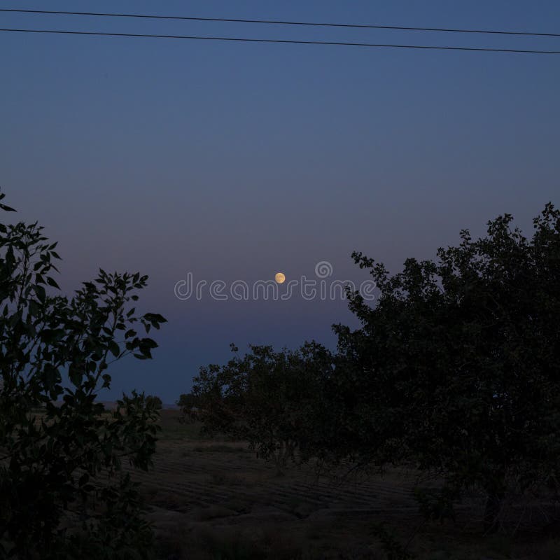 Agricultural Farm Surrounded by Trees Captured on a Night with a Full ...