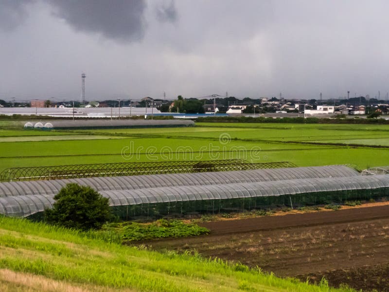 Agricultural Farm System in Japan. Stock Photo - Image of farming ...