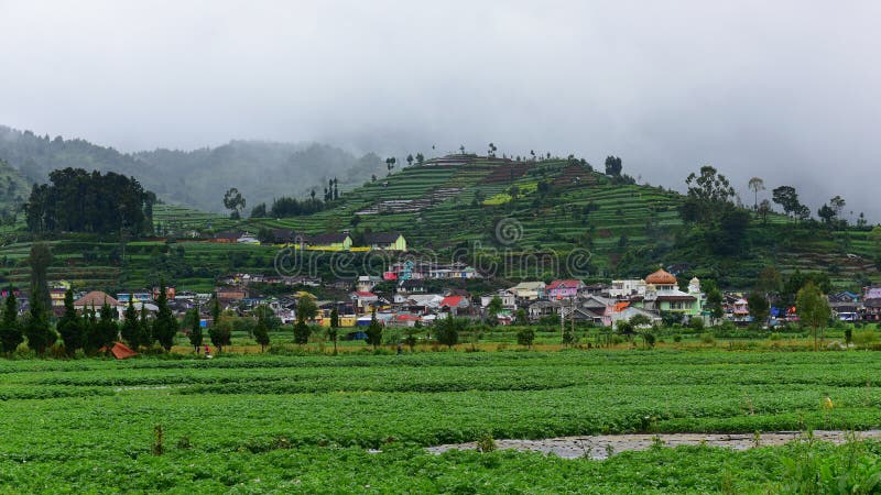 1,448 Agricultural Farming Java Stock Photos - Free & Royalty-Free ...