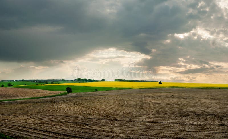Agricultural Farming Land at Early Spring and Tree with Sun Rays Stock ...