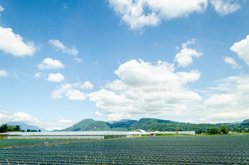 Agricultural Farms in Fraser Valley, BC, Canada Stock Photo - Image of ...