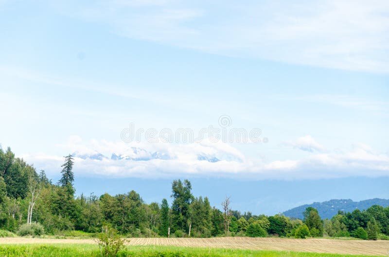Agricultural Farms in Fraser Valley, BC, Canada Stock Image - Image of ...