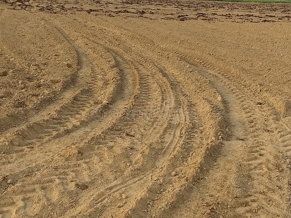 Agricultural field stock image. Image of agricultural - 128419297