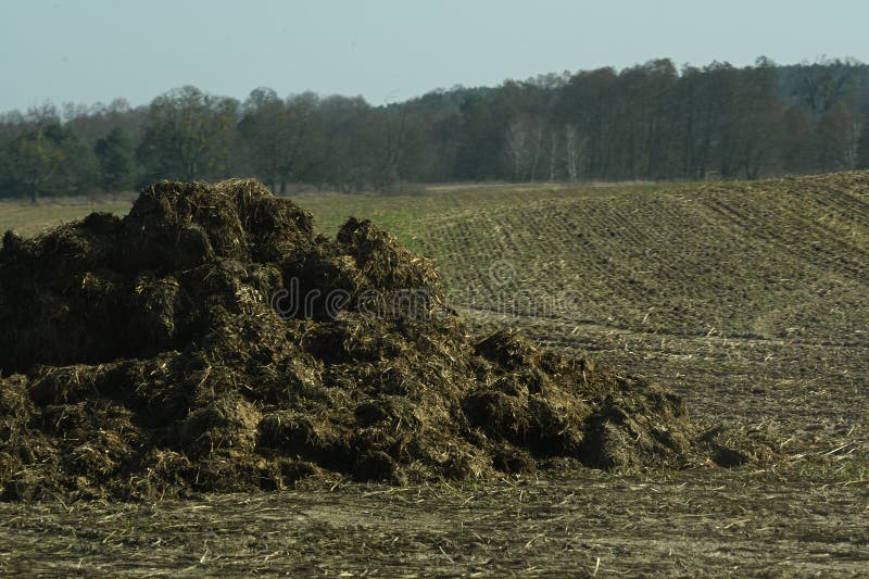 Agricultural Field in Early Spring with Manure Pile for Soil ...