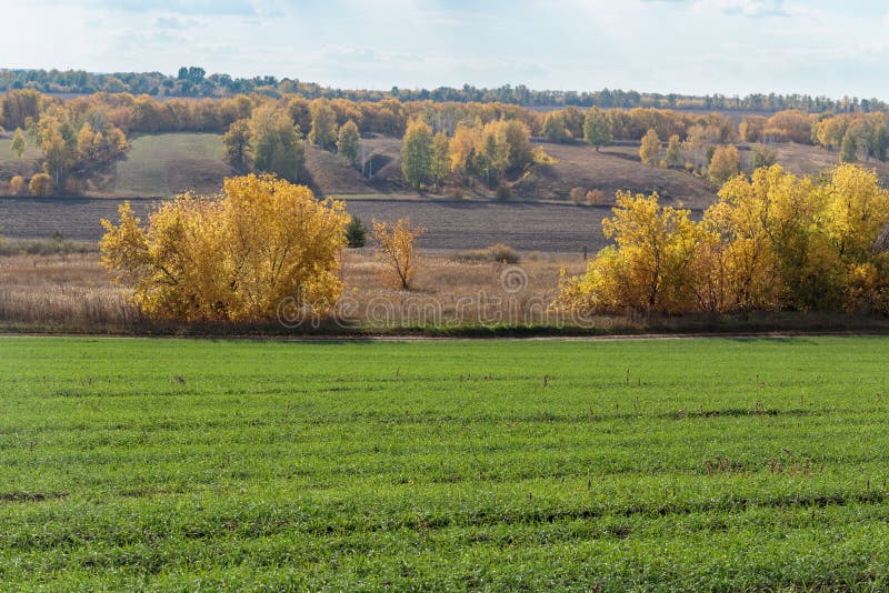 Agricultural Field in Europe Stock Image - Image of green, hill: 124504911