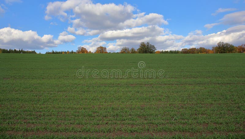Agricultural Field in Europe Stock Image - Image of autumn, field: 53095299