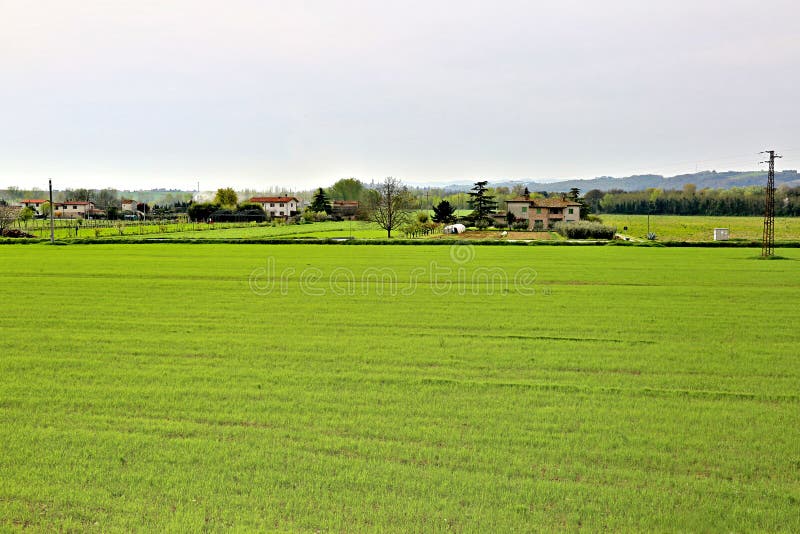 Agricultural Field in Europe Stock Image - Image of meadow, green: 81022691