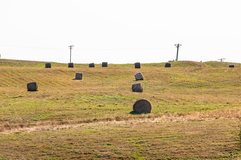 Agricultural Field with Haystacks, Stack of Round Hay Bales. Hay Balls ...