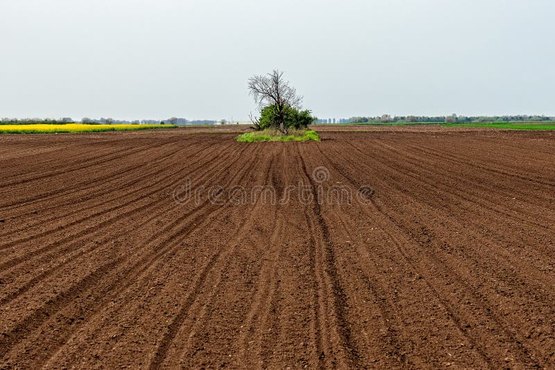 Agricultural Field Ready for Sowing. Stock Image - Image of cultivated ...