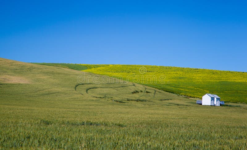 Agricultural Field in Rural Area of Washington State Stock Photo ...