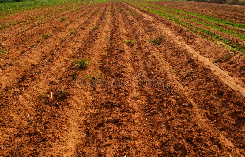 Agricultural field soil stock photo. Image of fields - 36872312