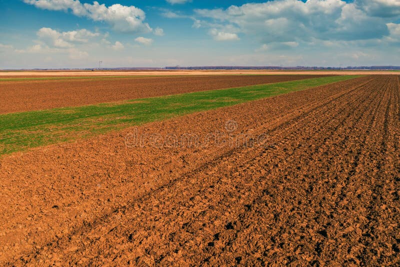 Agricultural Field Soil after Tillage Stock Image - Image of tillage ...