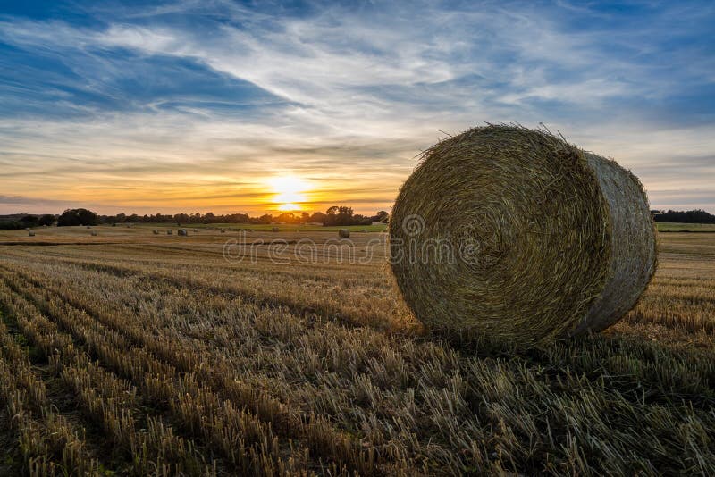 An Agricultural Field at Sunset in Denmark Stock Image - Image of bale ...