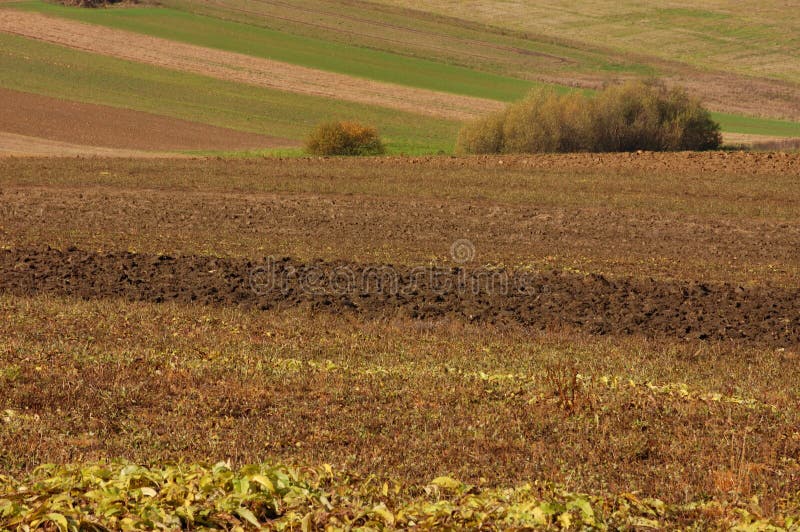 Agricultural Fields Picture. Image: 3474149