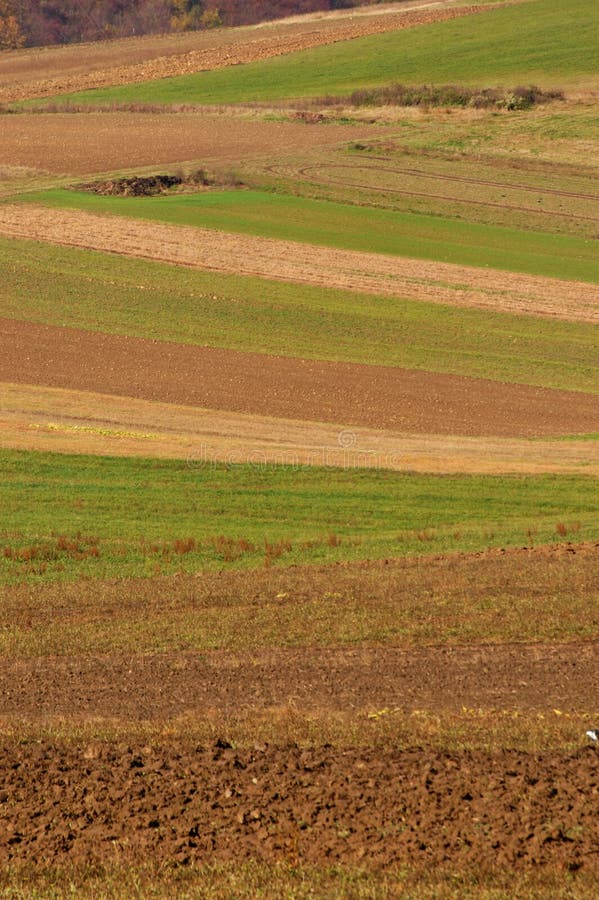 Agricultural fields stock photo. Image of fields, country - 3474202