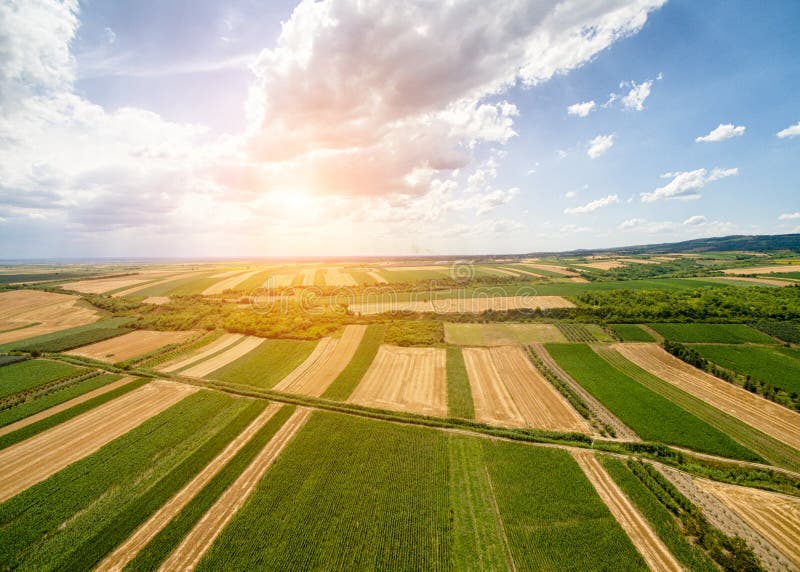 Agricultural fields stock image. Image of risk, green - 106300949