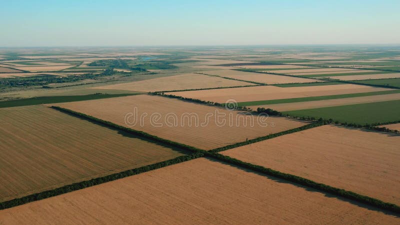 Agricultural Fields Aerial View. Rectangular Fields of Different ...