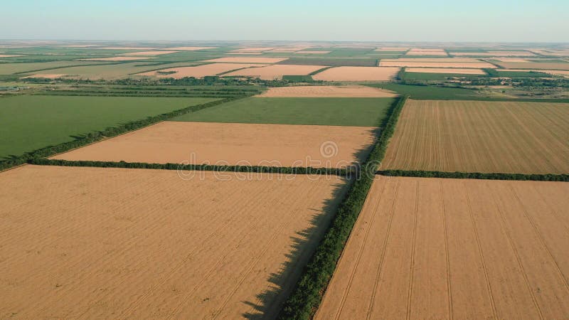 Agricultural Fields Aerial View. Rectangular Fields of Different ...