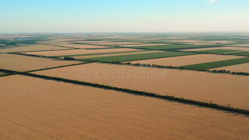 Agricultural Fields Aerial View. Rectangular Fields of Different ...