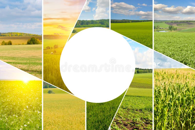 Agricultural Fields Blue Sky Collage Mosaic Pattern Stock Photos - Free & Royalty-Free Stock ...