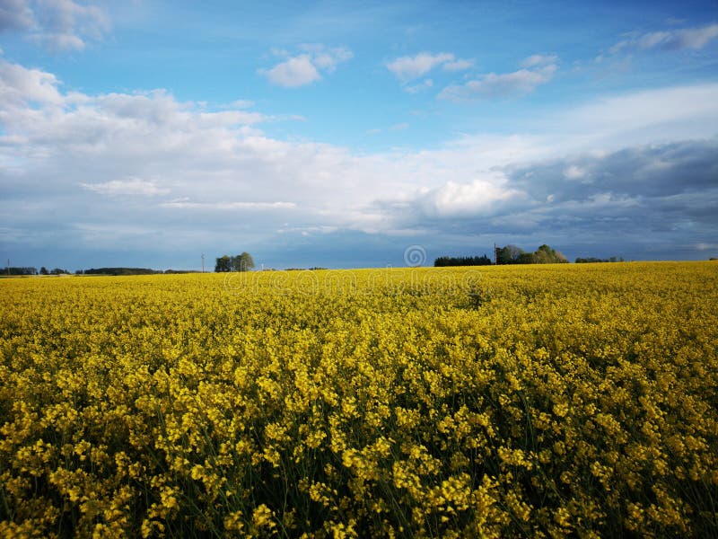 Agricultural Fields in Spring Stock Image - Image of ground, spring ...