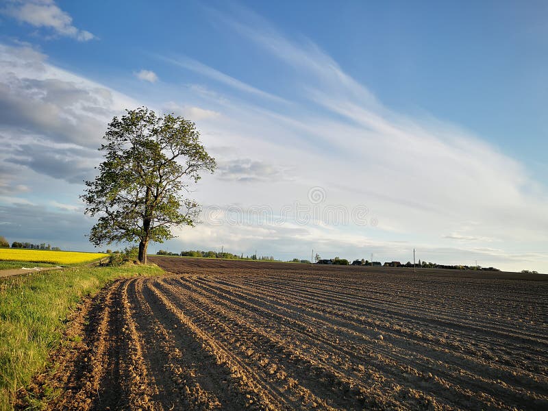 Agricultural Fields in Spring Stock Photo - Image of cloudy, spring ...